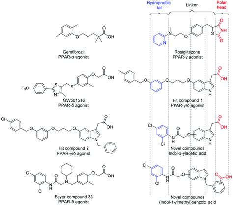 Structures Of The Representative Ppar Agonists And Newly Designed