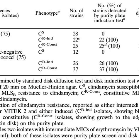 Purity Plate Disk Induction Testing For Clindamycin Resistance Compared Download Table