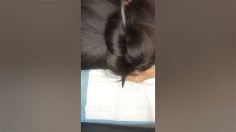 萌宠出道计划 刺猬璉 非洲迷你刺猬 刺猬 一颗又大又圆的百万珍珠璉 Youtube