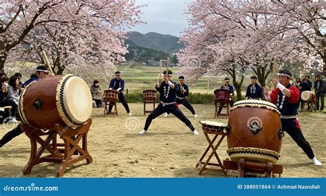 Taiko Drummers In Cherry Blossom Season Stock Image