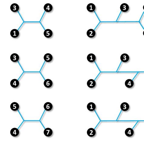 Building A Tree Based On Different Quartets Using The Maxcut Algorithm