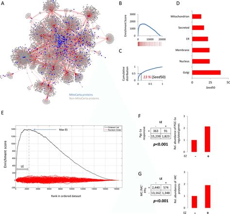 Construction Of A Mitochondrion Centric Multi Tissue Gene Co Expression Download Scientific
