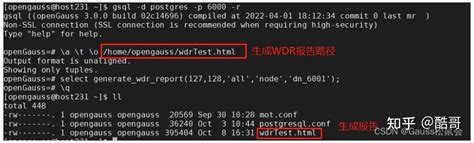 opengauss的wdr报告解读 知乎