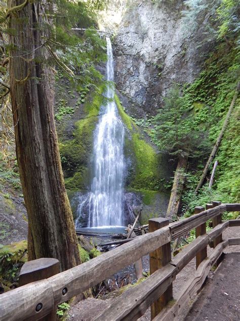 Marymere Falls Trail Forks Washington Waterfall Olympia Washington