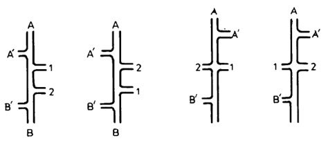 4 Gluon Production Amplitude In The Color Orderings A [ A 1 2