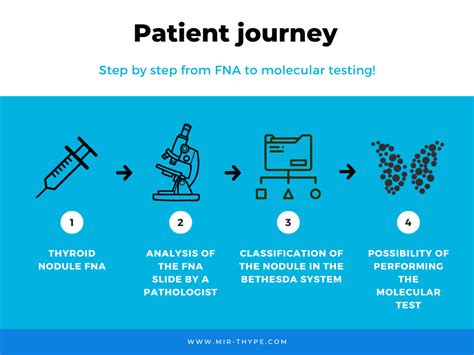 Everything About The Bethesda System For Thyroid Onkos