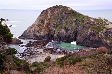 Sorry Sully I Was Distracted Oregons Gorgeous Harris Beach State