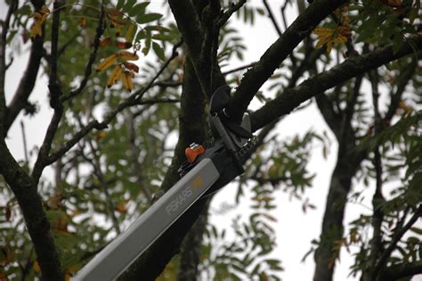 Mit grønne univers: FISKARS Topsaks