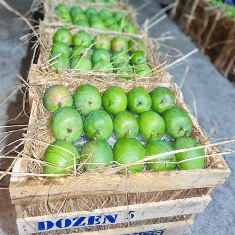 Devgad Alphonso Hapus Mango At ₹ 250dozen Alphonso Mangoes In Talala