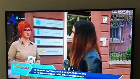 Joana Babusku On Linkedin Happy Un Day Честит ден на Обединетите нации