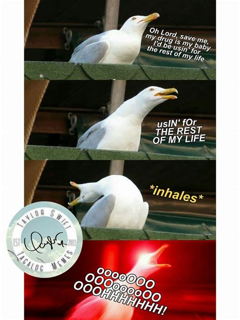 Inhaling Seagull Artofit