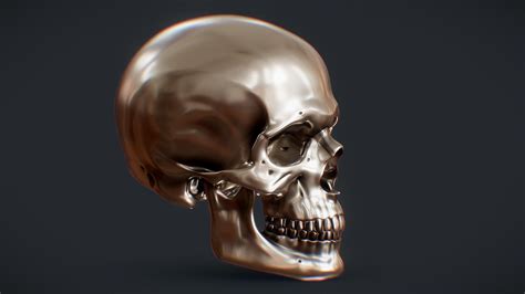 Perfect Shaped Skull Buy Royalty Free 3d Model By Aleksei Vlasov ⚡