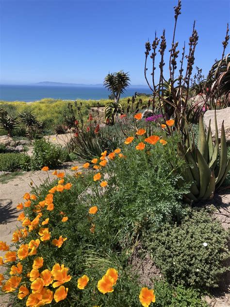 Venturing Out To The Ventura Botanical Gardens Ventura County Mom