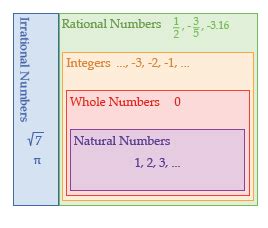Module Linear Exponential Functions Flashcards Quizlet