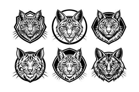 라인 커트 극단적 인 터 디자인 일러스트레이션으로 표시 된 Bobcats 얼굴 로고의 다양한 스타일 프리미엄 Ai 생성 벡터
