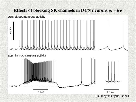 Ppt Simulating In Vivo Like Synaptic Input Patterns In