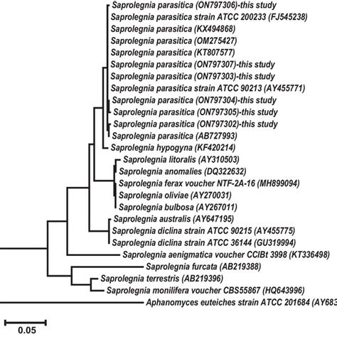 The Neighbor Joining Phylogenetic Tree Showing The Comparative Analysis