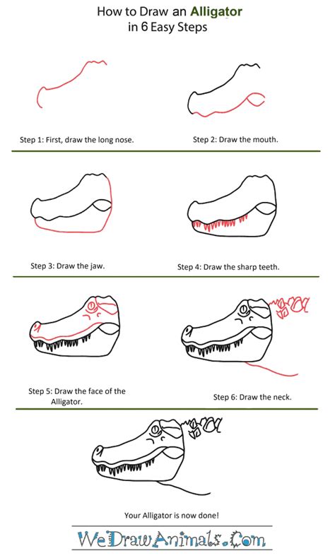How To Draw An Alligator Head