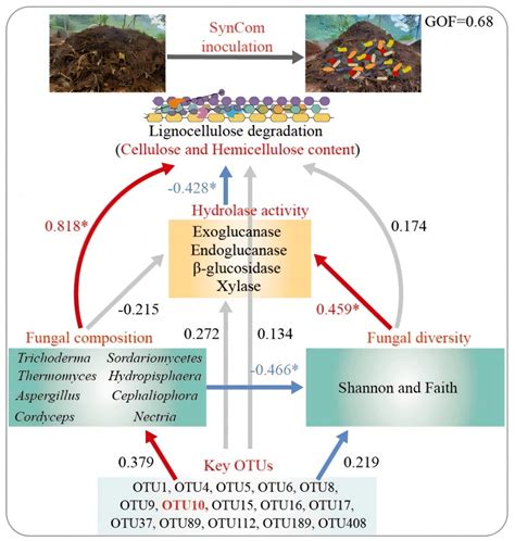 Synthetic Microbial Communities Greatly Promote Compost Material Transformation And Crop Growth
