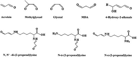 Reactive Aldehydes Generated From Loohs And N 2 Propenals Derived By