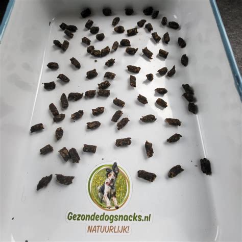 Gezondedogsnacksnl Hert Vlees Mini Trainertjes