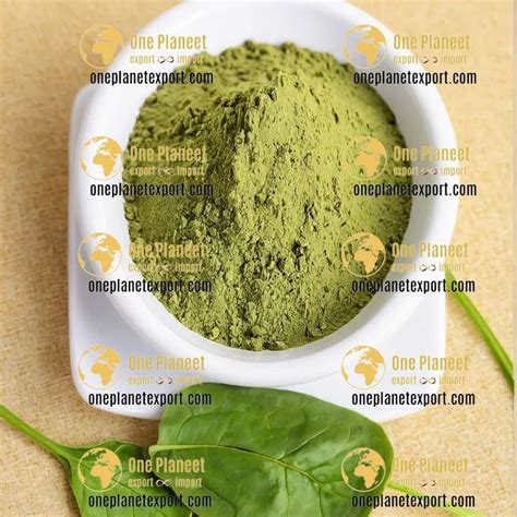 Spray Dried Dehydrated Spinach Powder Packaging Size 50 G At ₹ 175kg