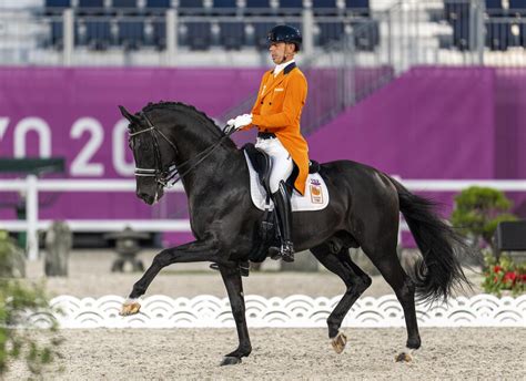 Glocks Dream Boy Willkommen Auf Der Hengststation Sosath Hof Sosath