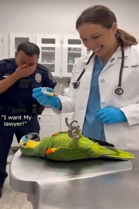 Parrot Filed A Lawsuit Against The Vet Angel Crowden Facebook