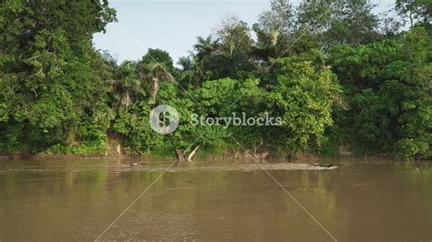 Batang Hari Sungai Batanghari The Longest River In Jambi Sumatra