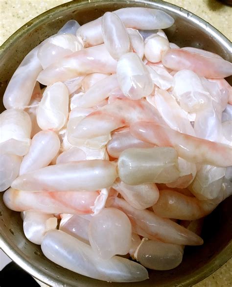 鱼泡泡鱼吐泡泡图片小鱼吹泡泡第3页大山谷图库