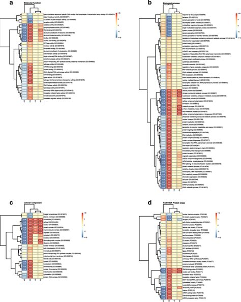 The Heat Map Analysis For The Significant Conserved Gene Functions