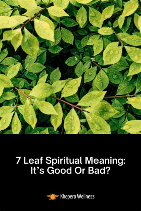 7 Leaf Spiritual Meaning Its Good Or Bad Khepera Wellness