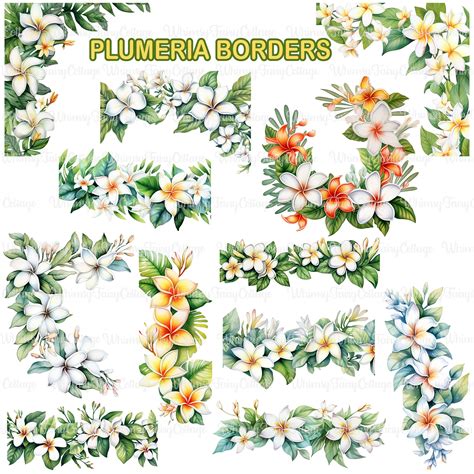 Plumeria Border Clip Art