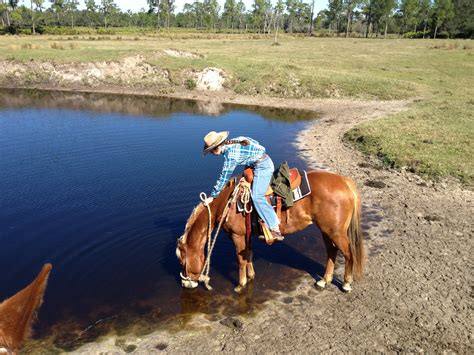Marisol Tarango Photo