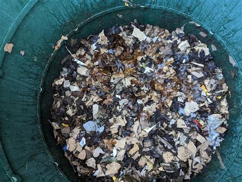 Is My Compost Looking Too Wet Rcomposting