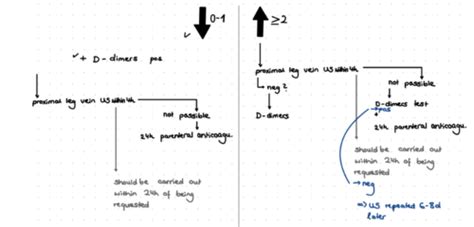 Lecture 13 Karteikarten Quizlet