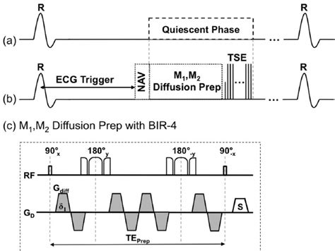 Pulse Sequence Diagram A The Longest Quiescent Period Is Found