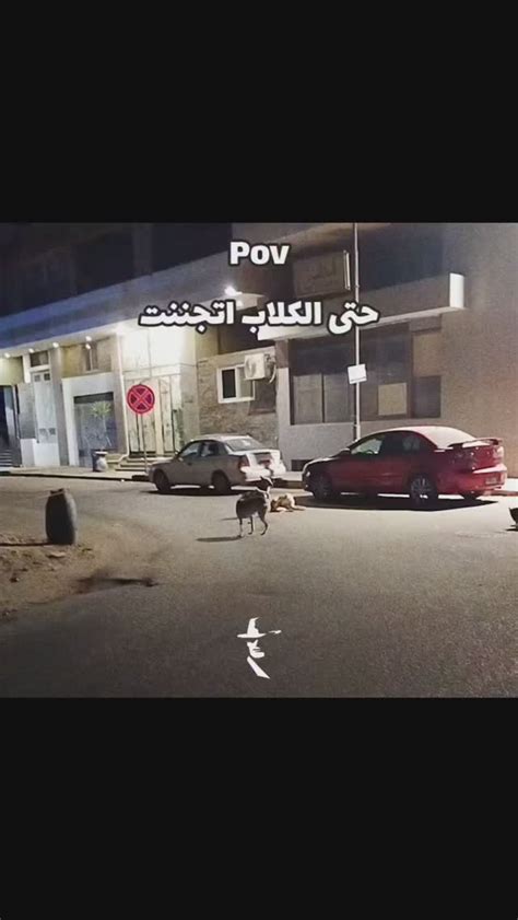 Wely🥷 Viral Fypシ Foryou Explore Pov Design Fypシ゚ Reelsinsta Reels Instagram