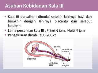 Asuhan Kebidanan Pada Kala 3 Persalinanpptx