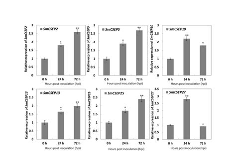 Transcript Abundances Of Six Virulence Associated Smcseps In S