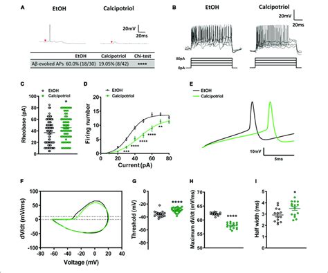 Action Potential Properties In Npy Neurons A A Typical Trace Of