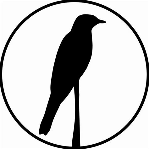 Klearhos Murphy Youtube