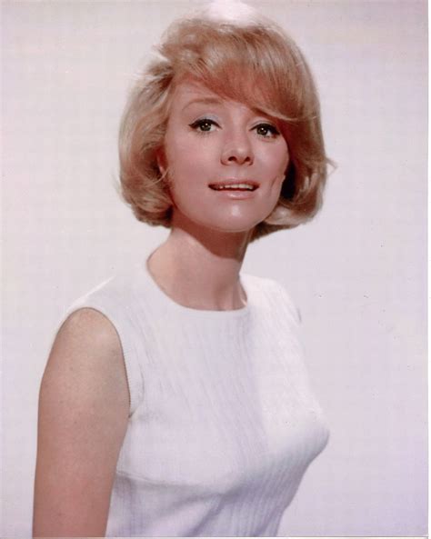 Inger Stevens Attrici Di Hollywood Attrici Hollywood