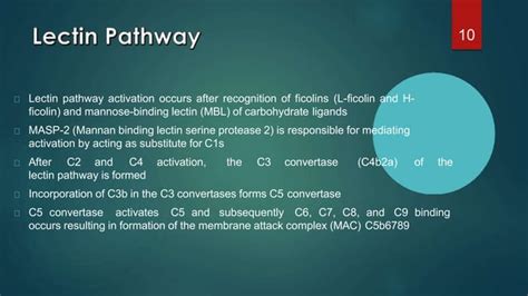 Complement System And Its Regulation Pptx