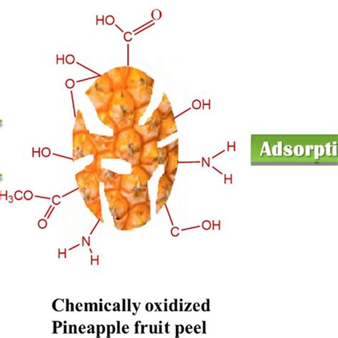 Three Methods Of Cellulose Graft Copolymerization Modification 29