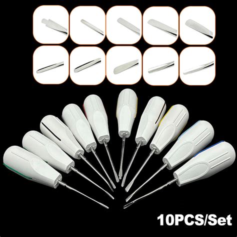 10pcsset Dental Root Fragment Luxating Elevators Tooth Extraction