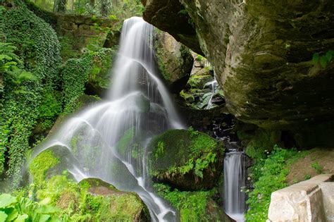 Bach Tree Rock Free Photo On Pixabay