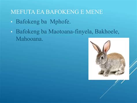 Seboko Sa Bafokeng Pptx