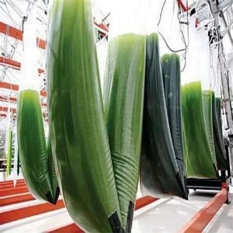 Haematococcus Pluvialis Astaxanthin Extract Powder Trader