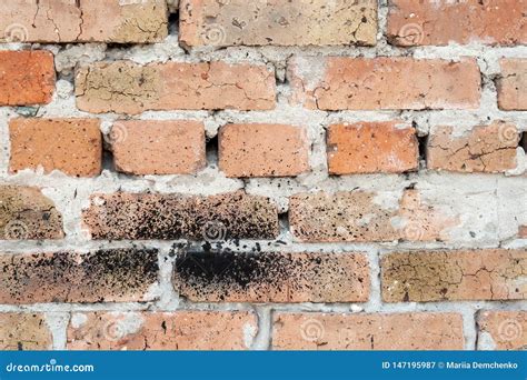 Some Red Bricks Red Bricks Are One Of The Basic Building Materials